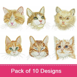 Cats Embroidery design pack by Ace Points | EmbroideryDesigns.com