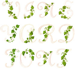 VINE ALPHABET by Great Notions on EmbroideryDesigns.com ...