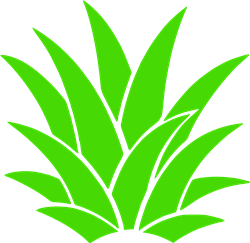 Pineapple Leaves SVG cut file at EmbroideryDesigns.com ...