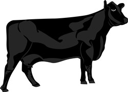 Black Angus print art Animals print art at EmbroideryDesigns.com ...