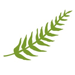 Fern Leaves SVG cut file at EmbroideryDesigns.com | EmbroideryDesigns.com