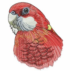 Cute Parrot Embroidery Design | EmbroideryDesigns.com
