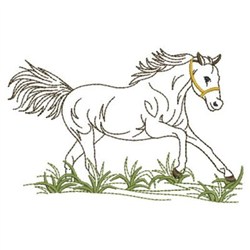 Horse Running Embroidery Design | EmbroideryDesigns.com