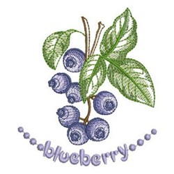 Blueberry Embroidery Design | EmbroideryDesigns.com