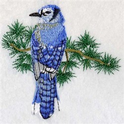 Blue Jay Embroidery Design | EmbroideryDesigns.com