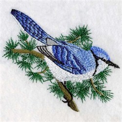 Blue Jay Embroidery Design | EmbroideryDesigns.com
