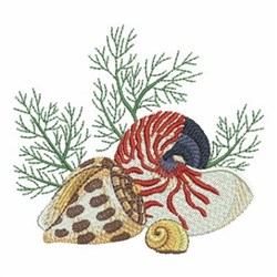 Sea Shells Embroidery Design | EmbroideryDesigns.com