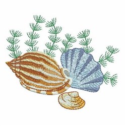 Sea Shell Embroidery Design | EmbroideryDesigns.com