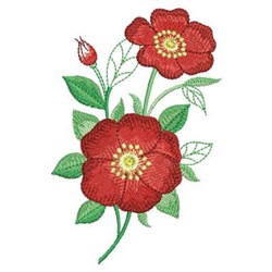 Realistic Wild Rose Embroidery Design | EmbroideryDesigns.com