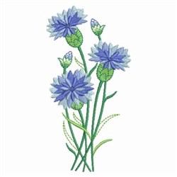 Realistic Cornflower Embroidery Design | EmbroideryDesigns.com