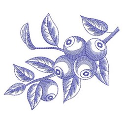 Sketched Blueberries Embroidery Design | EmbroideryDesigns.com