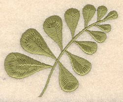 Fern Embroidery Design | EmbroideryDesigns.com