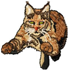 Bobcat Embroidery Design | EmbroideryDesigns.com