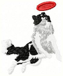 Frisbee Dog - Border Collie Embroidery Design | EmbroideryDesigns.com