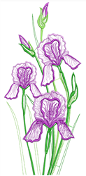 Irises Embroidery Design | EmbroideryDesigns.com