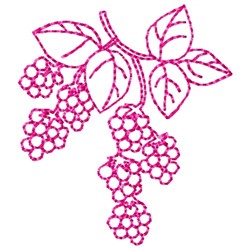 Redwork Raspberry Embroidery Design | EmbroideryDesigns.com