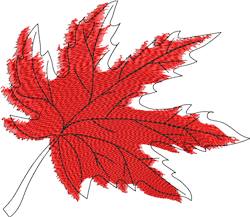 Maple Leaf Embroidery Design | EmbroideryDesigns.com