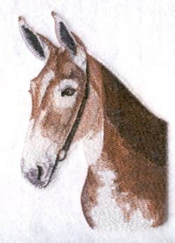 Mule Embroidery Design | EmbroideryDesigns.com