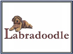 Labradoodle Embroidery Design | EmbroideryDesigns.com