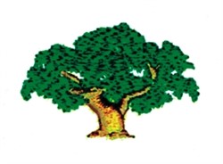 Oak Tree Embroidery Design | EmbroideryDesigns.com