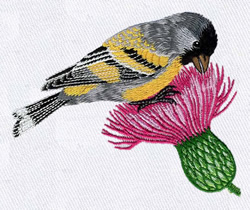 Goldfinch Embroidery Design | EmbroideryDesigns.com