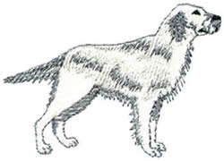 English Setter Embroidery Design | EmbroideryDesigns.com