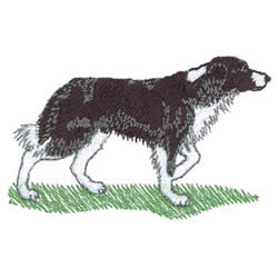 Border Collie Embroidery Design | EmbroideryDesigns.com