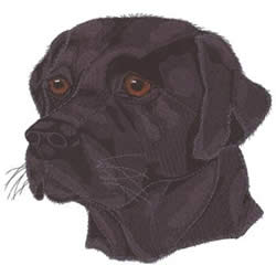 Black Lab Embroidery Design | EmbroideryDesigns.com