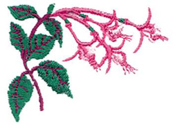 Fuchsia Embroidery Design | EmbroideryDesigns.com