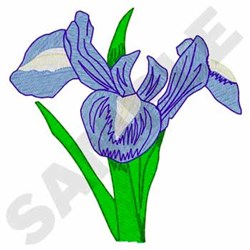 Iris Embroidery Design | EmbroideryDesigns.com