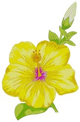 Hibiscus Embroidery Design | EmbroideryDesigns.com