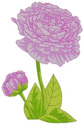 Peony Embroidery Design | EmbroideryDesigns.com