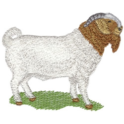 Sm. Boer Goat Embroidery Design | EmbroideryDesigns.com