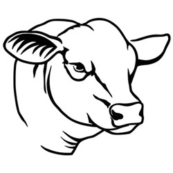 Black Angus Outline Embroidery Design | EmbroideryDesigns.com
