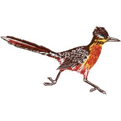 Road Runner Embroidery Design | EmbroideryDesigns.com