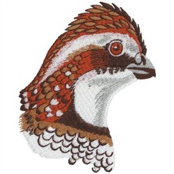 Quail Head Embroidery Design | EmbroideryDesigns.com