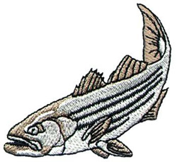 Striped Bass Embroidery Design | EmbroideryDesigns.com
