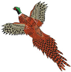 Pheasant Embroidery Design | EmbroideryDesigns.com