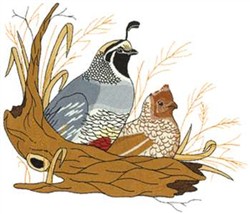 Nesting Quail Embroidery Design | EmbroideryDesigns.com