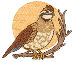 Bobwhite Quail Embroidery Design | EmbroideryDesigns.com