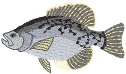Black Crappie Embroidery Design | EmbroideryDesigns.com