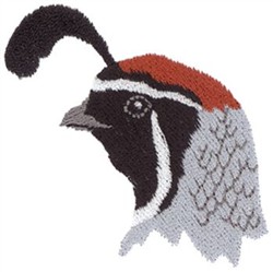 Gambels Quail Embroidery Design | EmbroideryDesigns.com