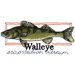 Walleye Embroidery Design | EmbroideryDesigns.com