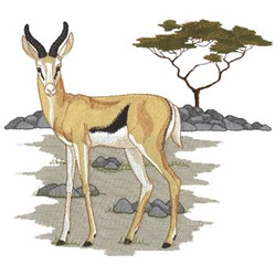 Springbok Embroidery Design | EmbroideryDesigns.com
