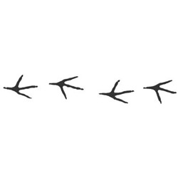 Pheasant Tracks Embroidery Design | EmbroideryDesigns.com