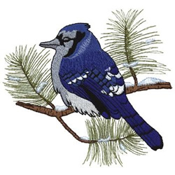 Blue Jay Embroidery Design | EmbroideryDesigns.com