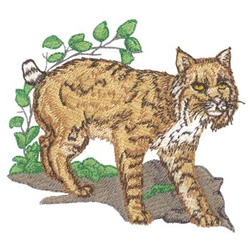Bobcat Embroidery Design | EmbroideryDesigns.com