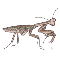 Praying Mantis Embroidery Design | EmbroideryDesigns.com
