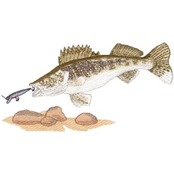 Walleye Embroidery Design | EmbroideryDesigns.com