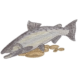 Chinook Salmon Embroidery Design | EmbroideryDesigns.com